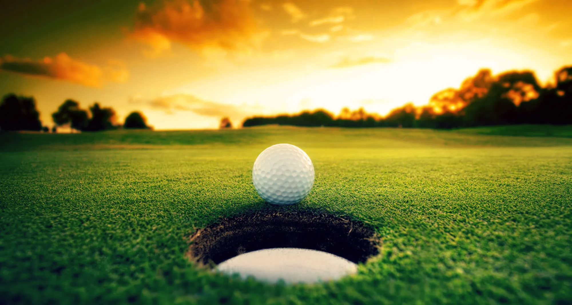 Homepage - Gaylord Golf Club